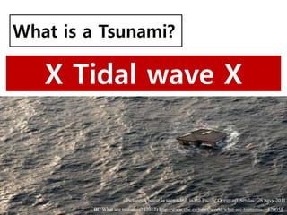 Japanese tsunami (2011) | PPTX