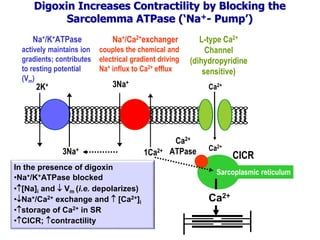 Drugs modifying cardiac rate and force 2018 | PPTX