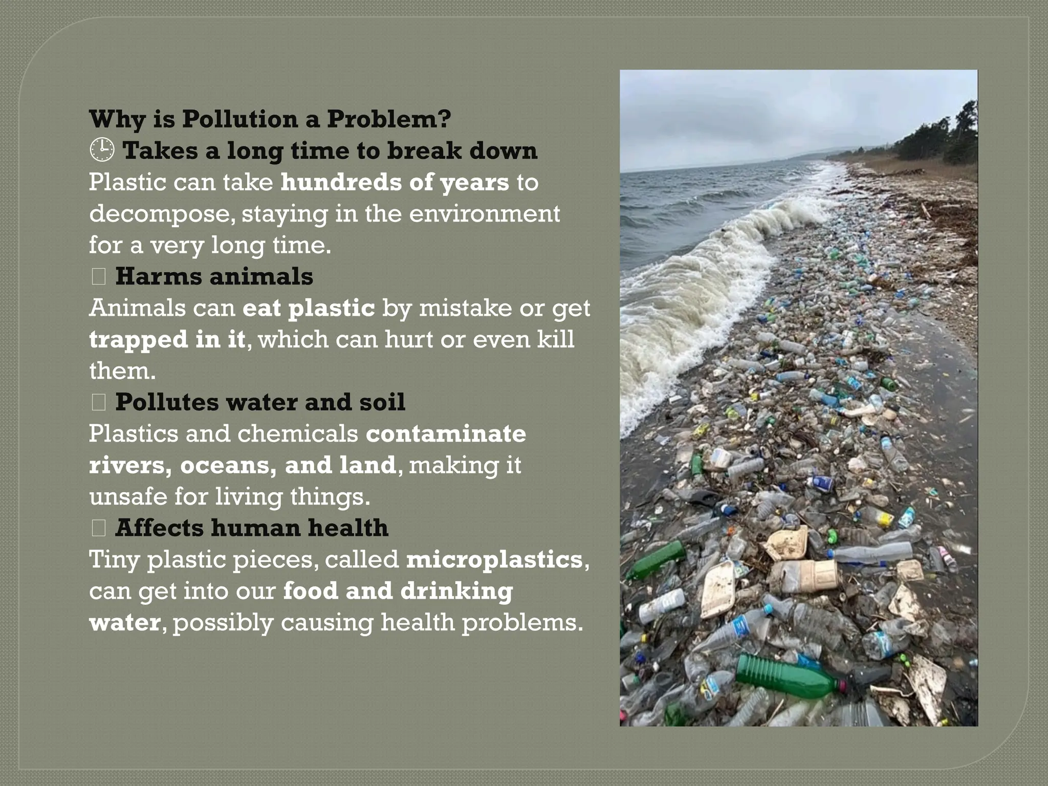 Plastic pollution a threat to the environment | PPT