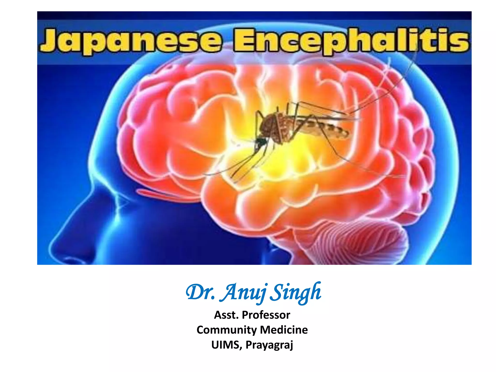 Japnese Encephalitis JE by Dr. Anuj.pptx