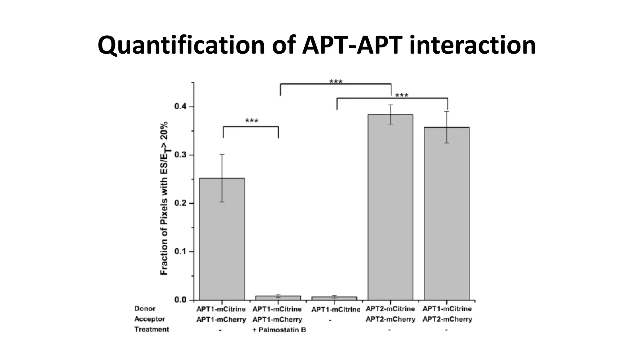 Oncology: Spatial Localization of Ras proteins | PPT