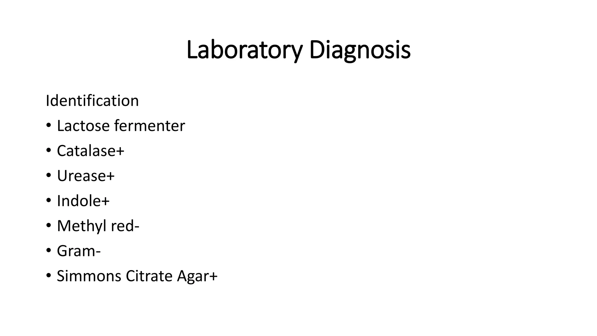 Klebsiella oxytoca | PPTX