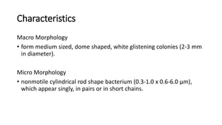 Klebsiella oxytoca | PPTX