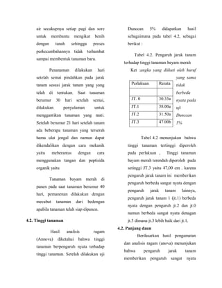 Jarak Tanam bayam merah.pdf