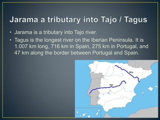 Jarama river survey | PPTX