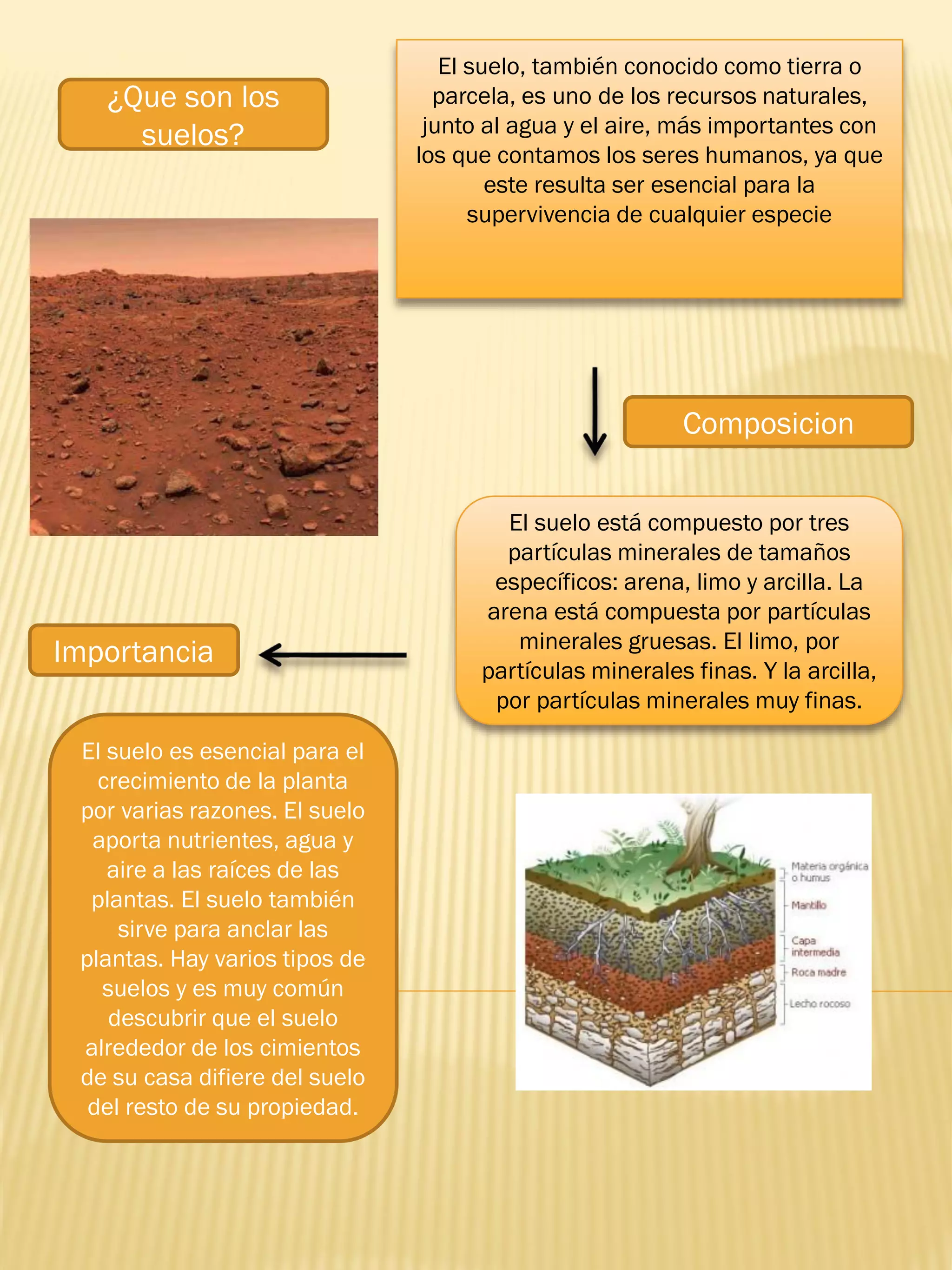 Jardines+y+suelos | PDF