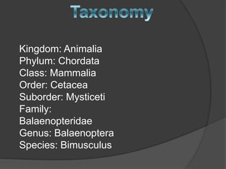 Jared beck power point | PPTX