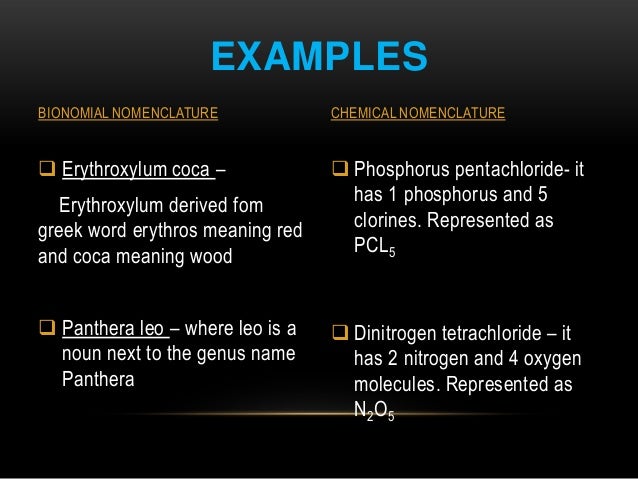 Medical Jargon Examples