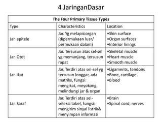 Jaringan | PPT