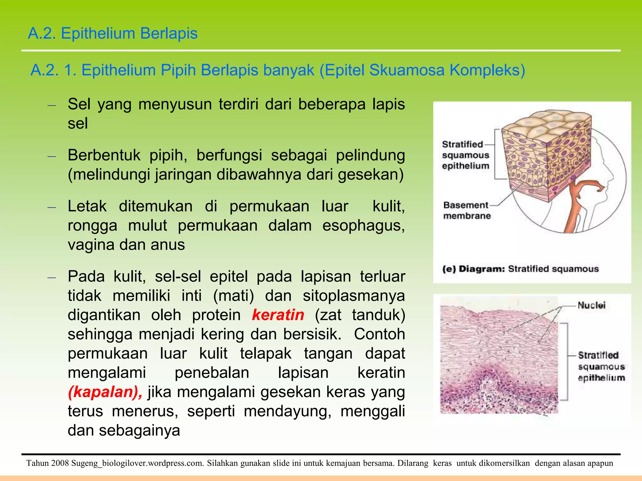 jaringan-hewan.ppt
