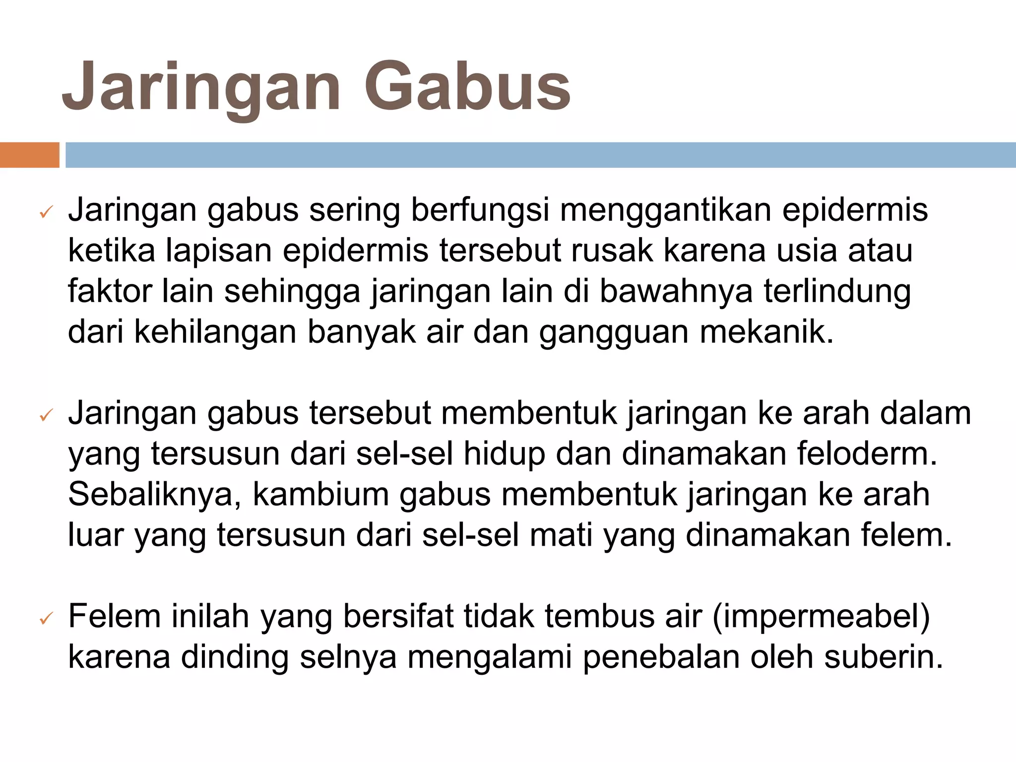 Jaringan-Permanen.pptx