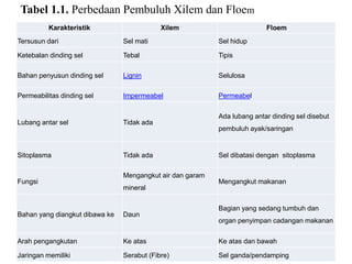 Jaringan-Permanen.pptx