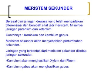 Jaringan tumbuhan | PPT