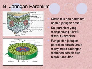 Jaringan tumbuhan | PPT