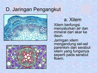Jaringan tumbuhan | PPT