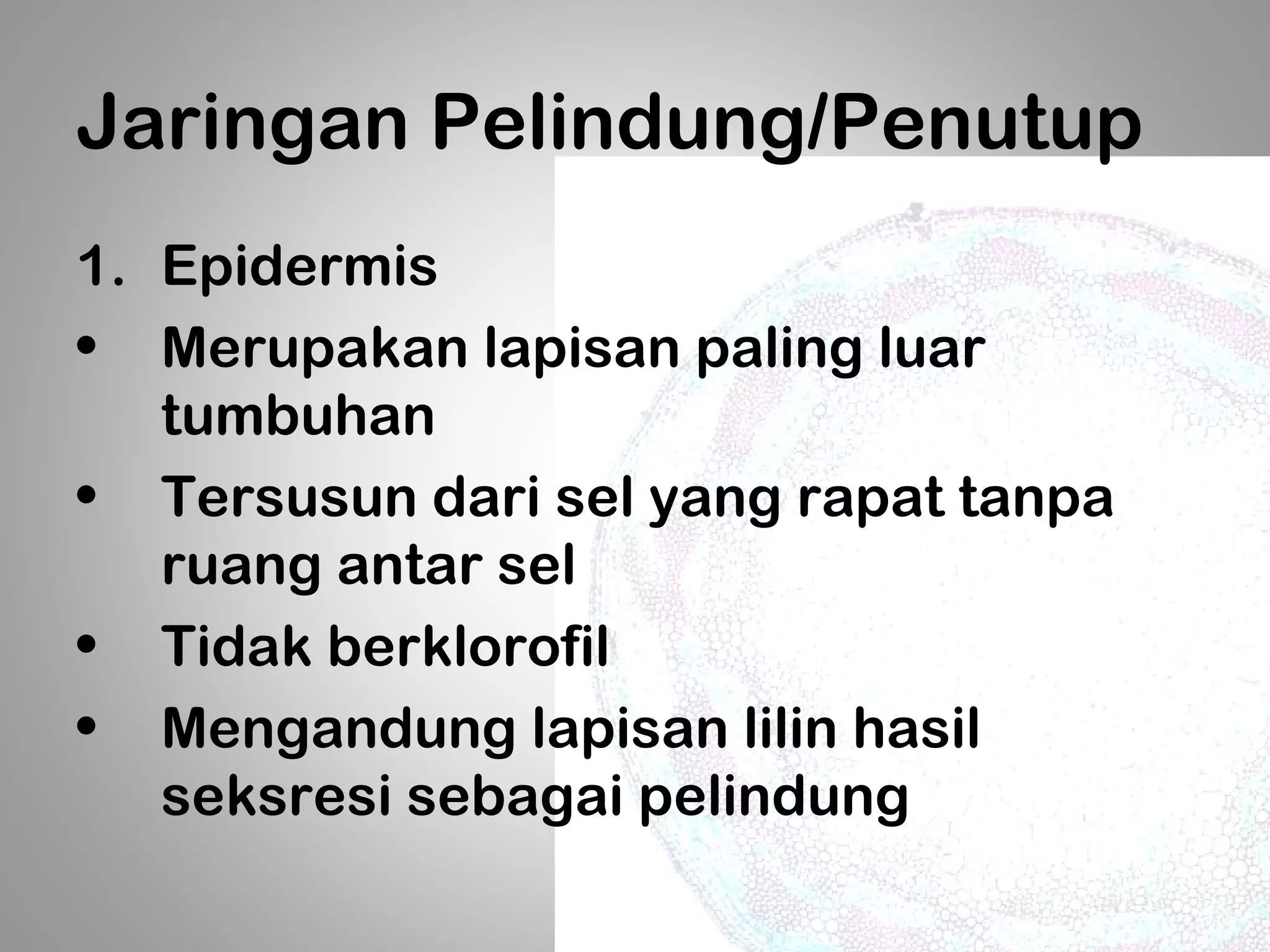 Jaringan tumbuhan | PPT