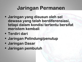 Jaringan tumbuhan | PPT