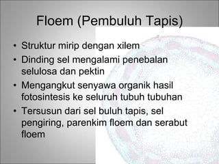jaringan-tumbuhan1.ppt