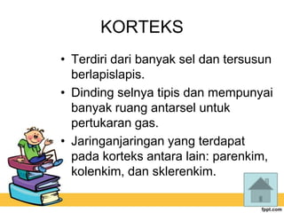 Jaringan akar dan batang | PPTX