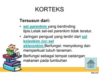 Jaringan akar dan batang | PPTX
