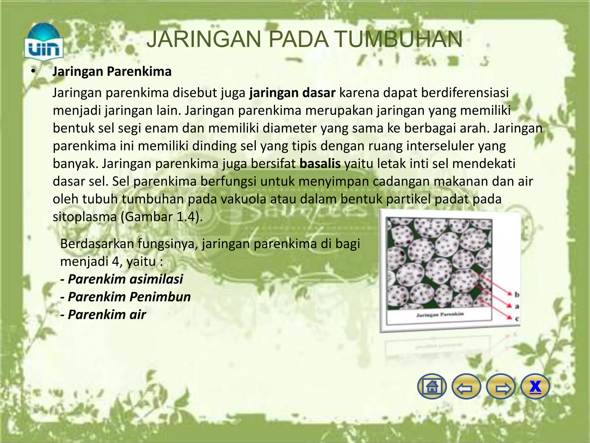 Jaringan dan organ tumbuhan | PPTX