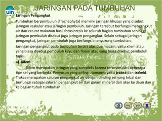 Jaringan dan organ tumbuhan | PPTX