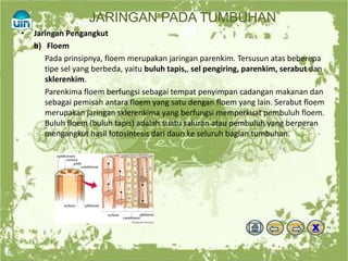 Jaringan dan organ tumbuhan | PPTX