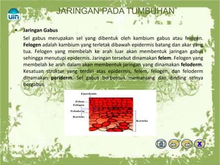 Jaringan dan organ tumbuhan | PPTX