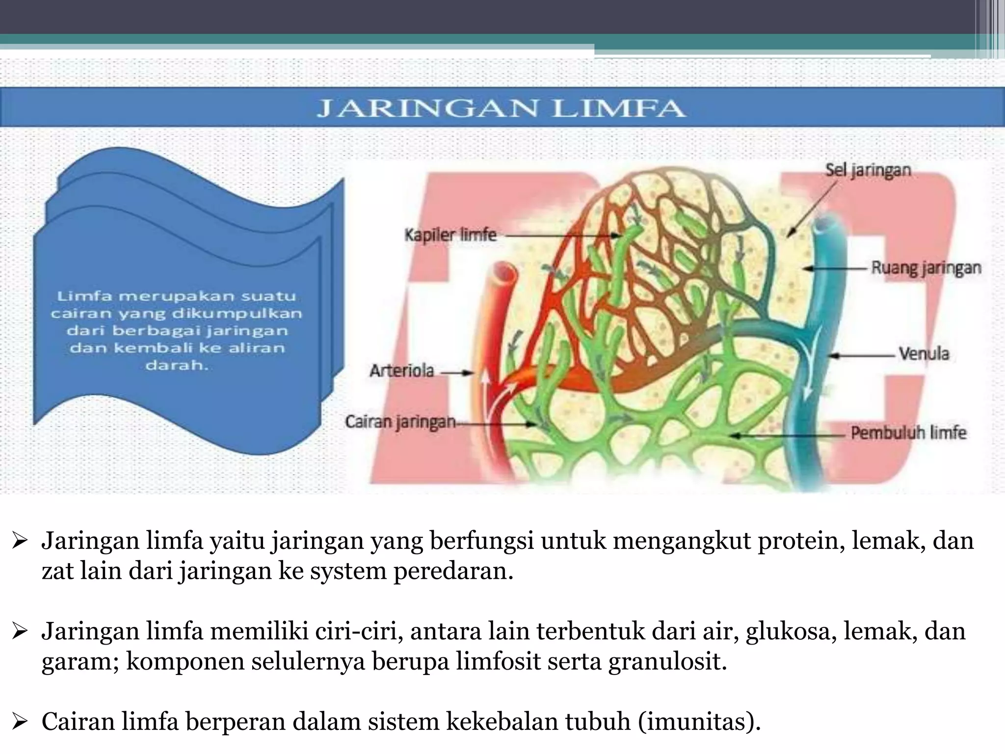 Jaringan epitel dan jaringan ikat | PPTX