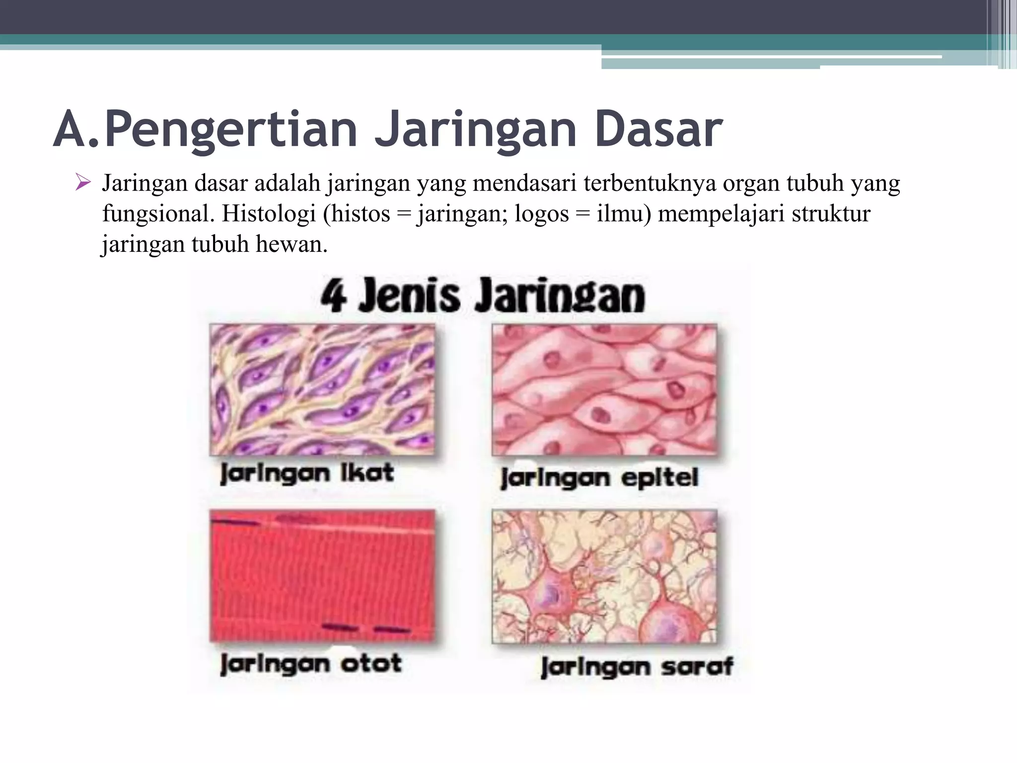 Jaringan epitel dan jaringan ikat | PPTX