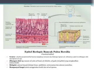 Jaringan epitel dan jaringan ikat | PPTX