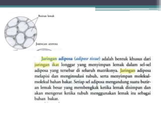 Jaringan epitel dan jaringan ikat | PPTX