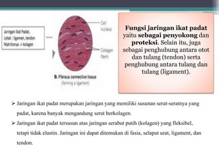 Jaringan epitel dan jaringan ikat | PPTX