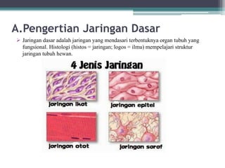 Jaringan epitel dan jaringan ikat | PPTX