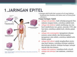 Jaringan epitel dan jaringan ikat | PPTX