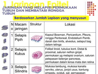 Jaringan Dasar Pada Hewan dan Manusia.pdf