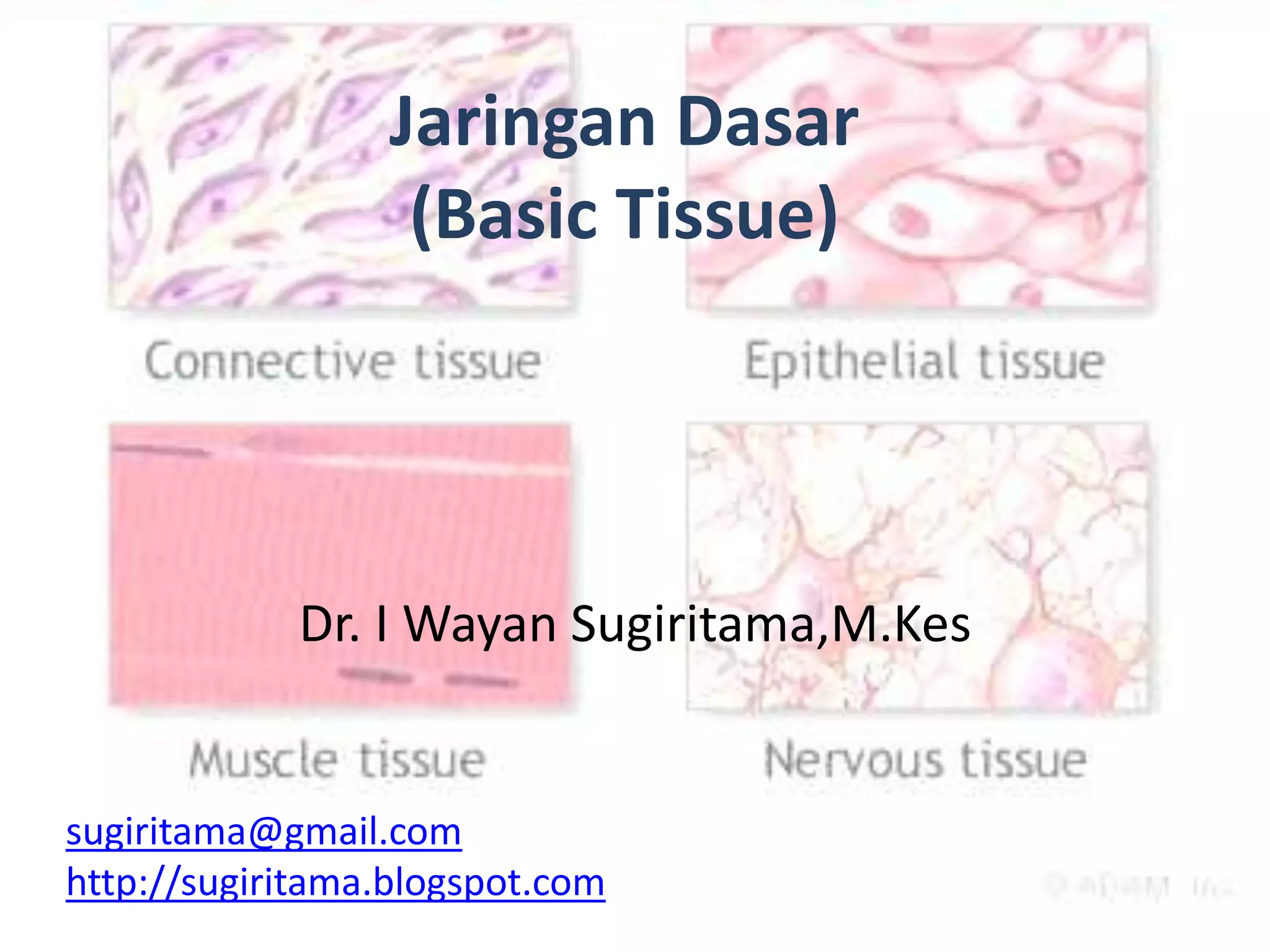 Jaringan dasar (basic tissue) | PPTX