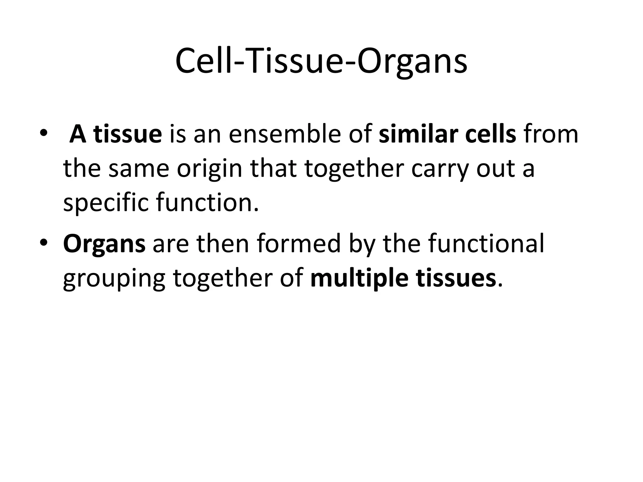 Jaringan dasar (basic tissue) | PPTX