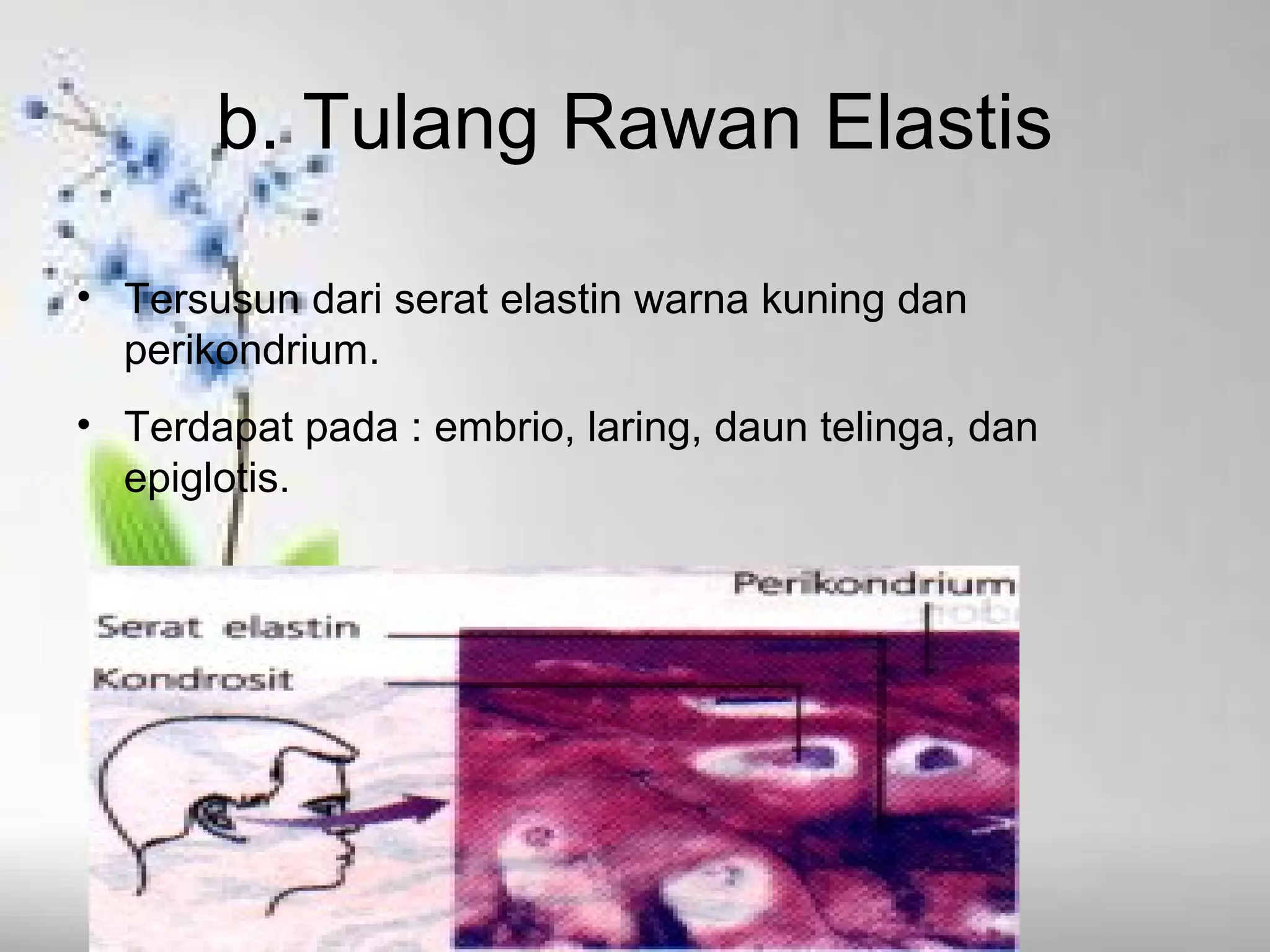 Jaringan dasar tubuh | PPT
