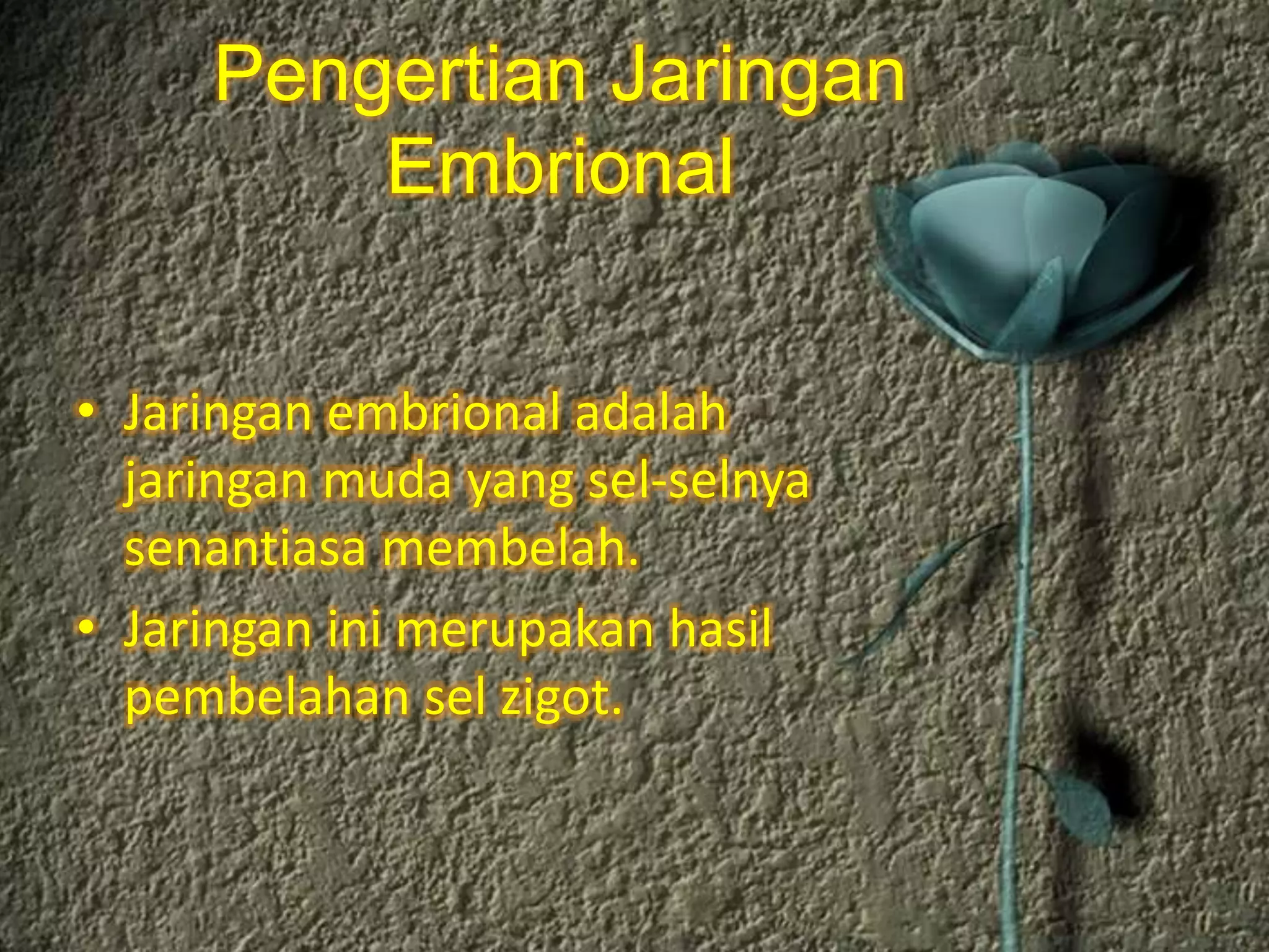 Jaringan embrional | PPTX