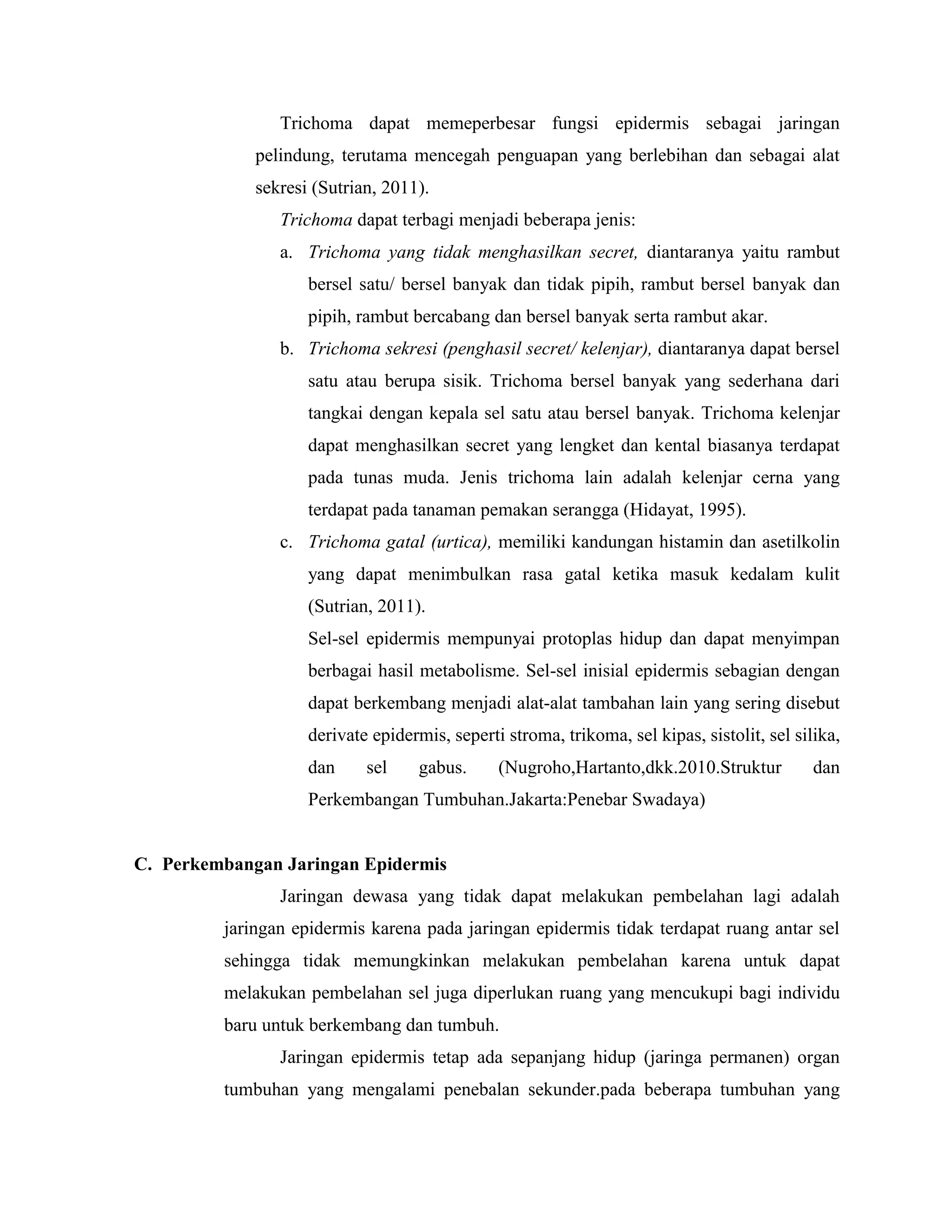 JARINGAN_EPIDERMIS_TUMBUHAN.docx