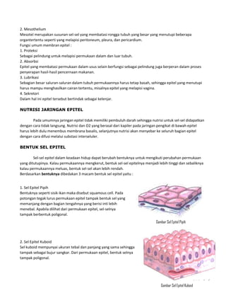 Jaringan epitel | PDF