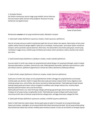 Jaringan epitel | PDF