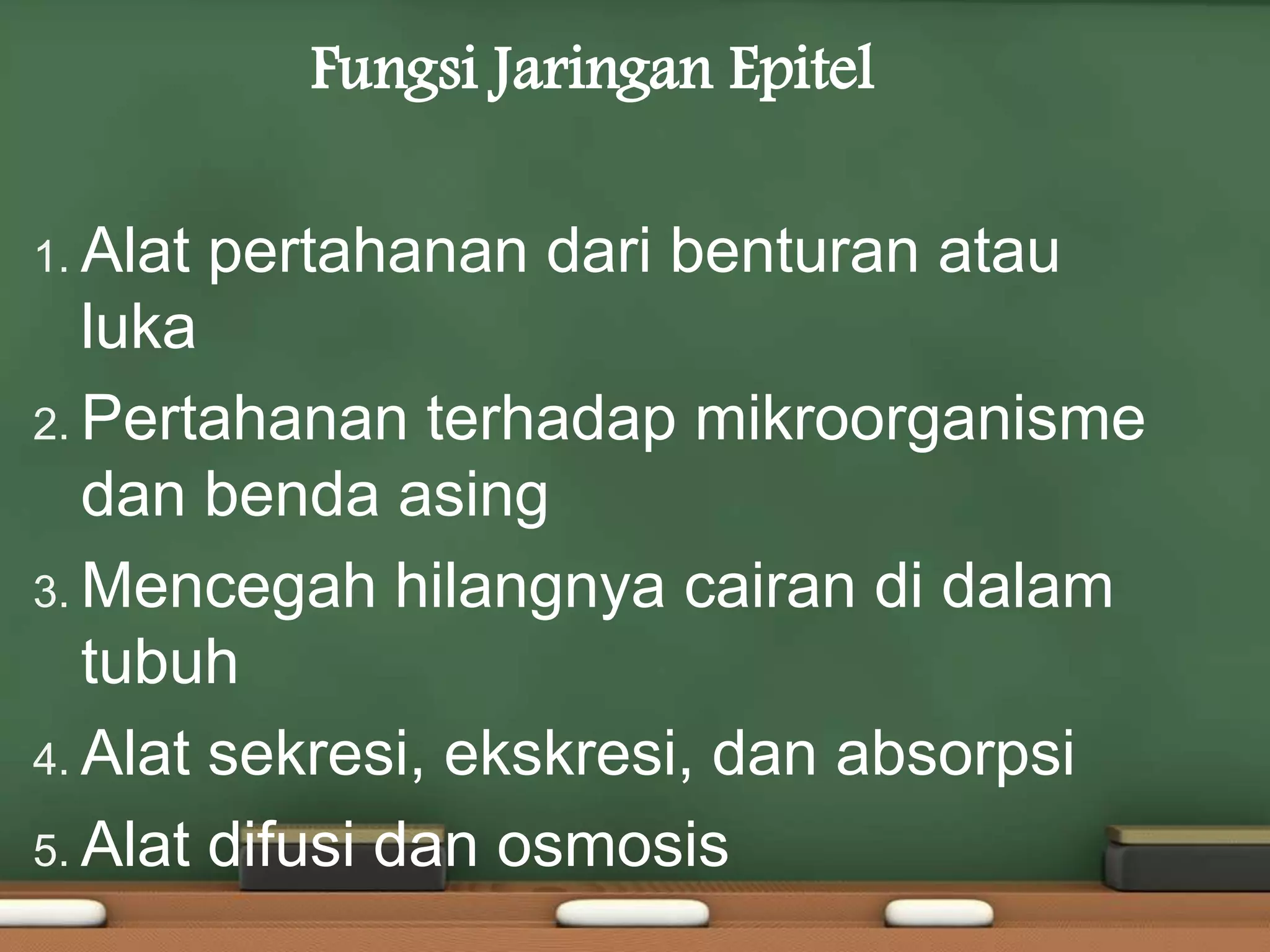 Jaringan epitel | PPTX