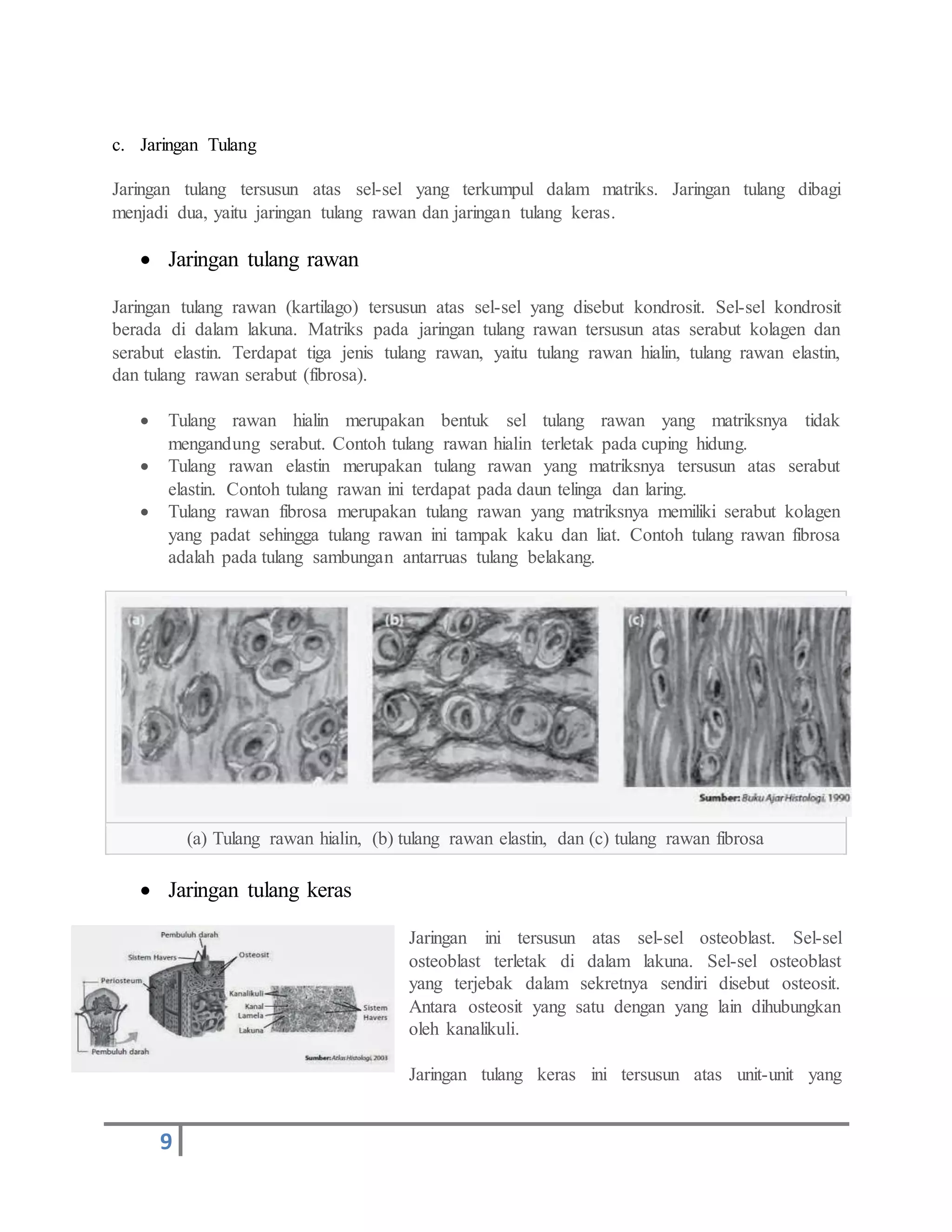 Jaringan epitel dan Jaringan Ikat | DOCX