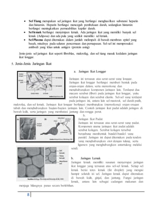 Jaringan epitel dan Jaringan Ikat | DOCX