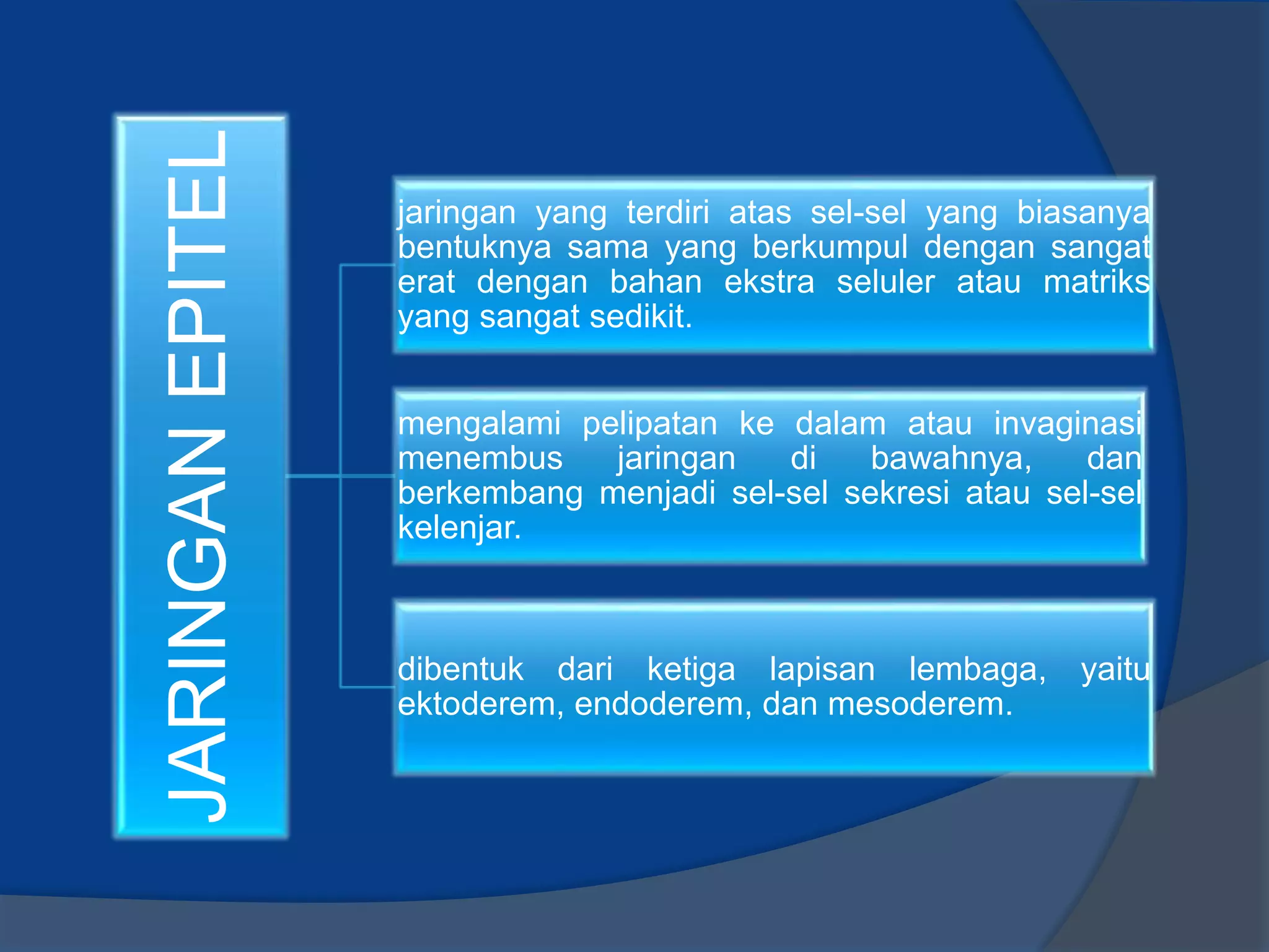 Jaringan epitel | PPTX