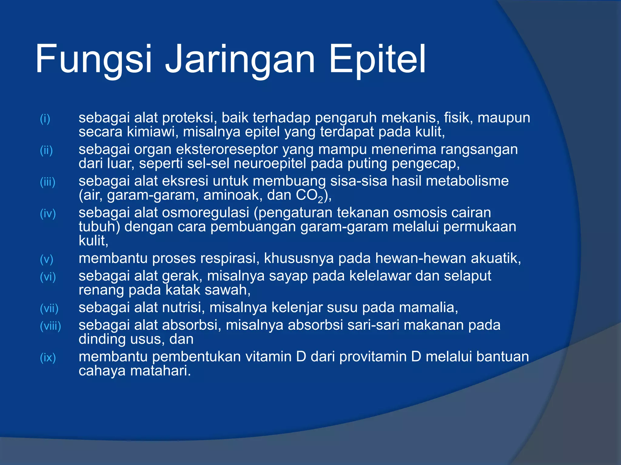 Jaringan epitel | PPTX