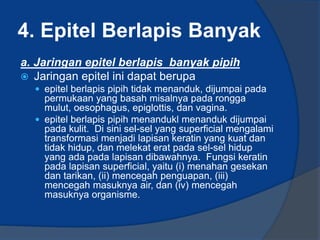 Jaringan epitel | PPTX