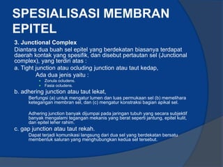 Jaringan epitel | PPTX